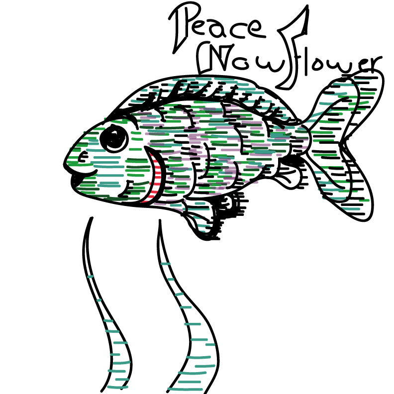 I wanted you to see the Ocean for the Fish… – Intuitive Voyage